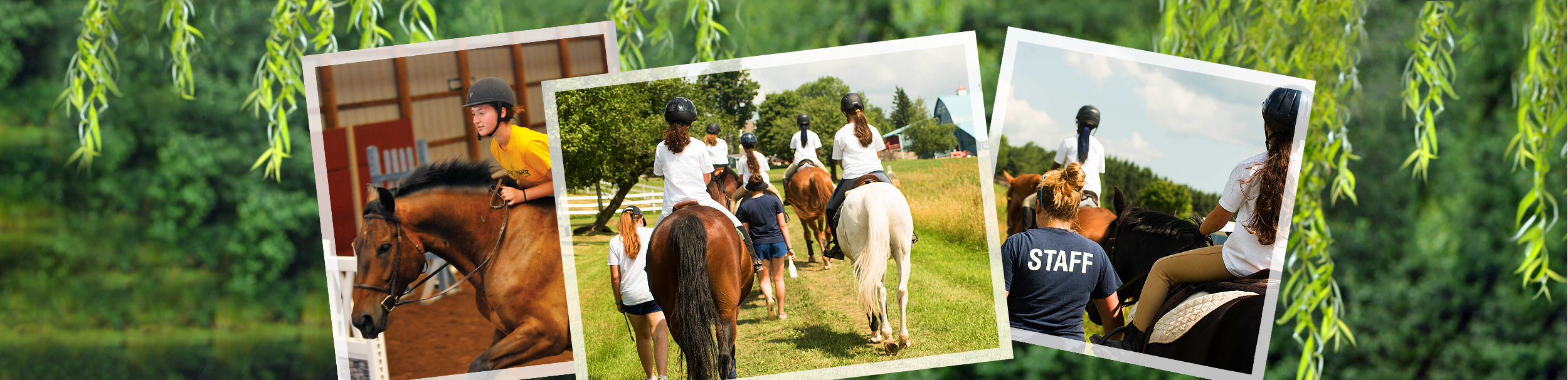 Summer Horseback Riding Lessons - Bryn Mawr Riding Camp
